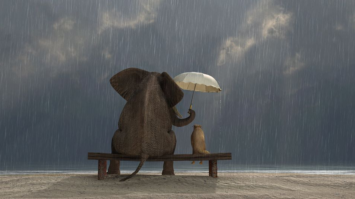 6 pequeños pasos para la amabilidad - Shambhala mx